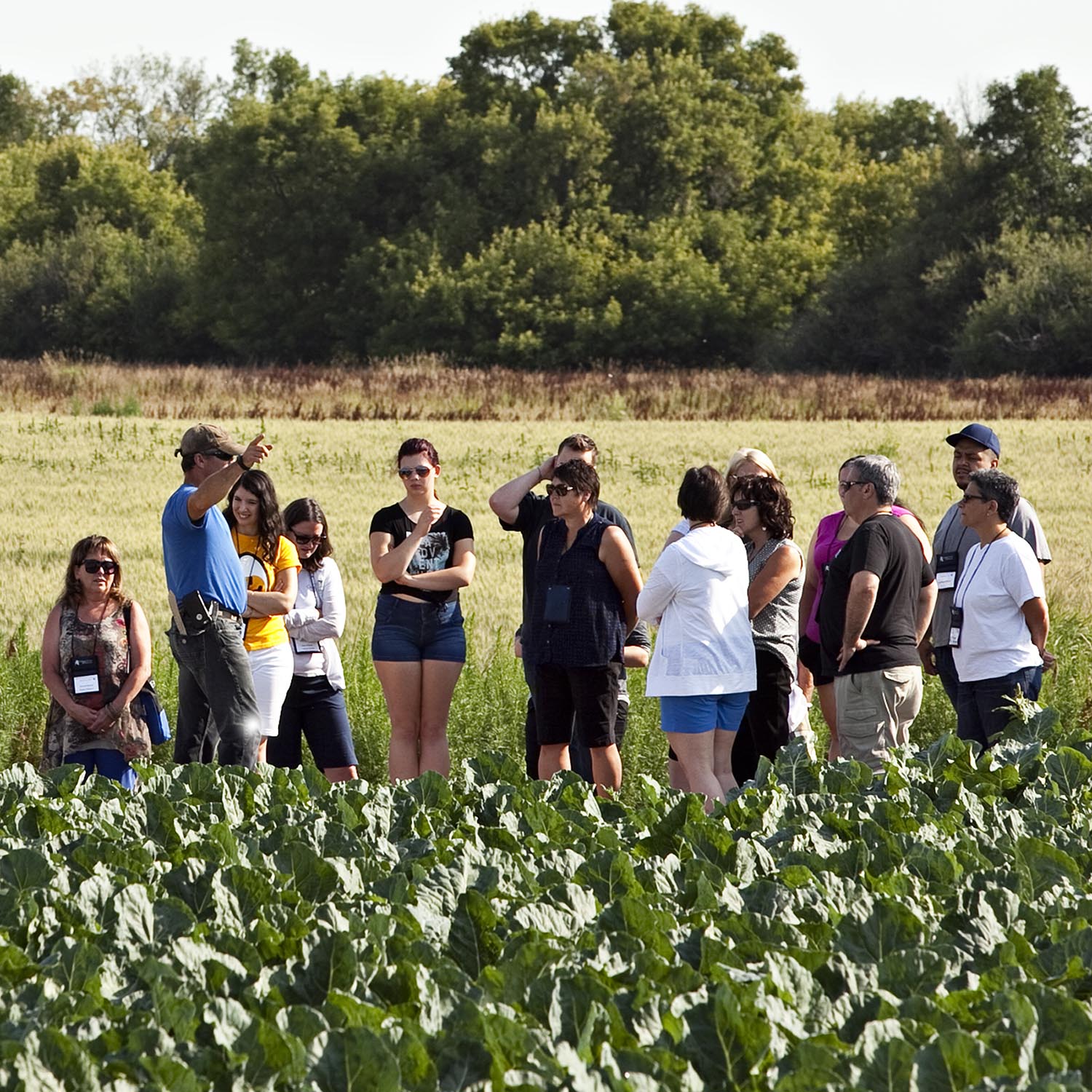 Host Farms - Saskatchewan Open Farm Days