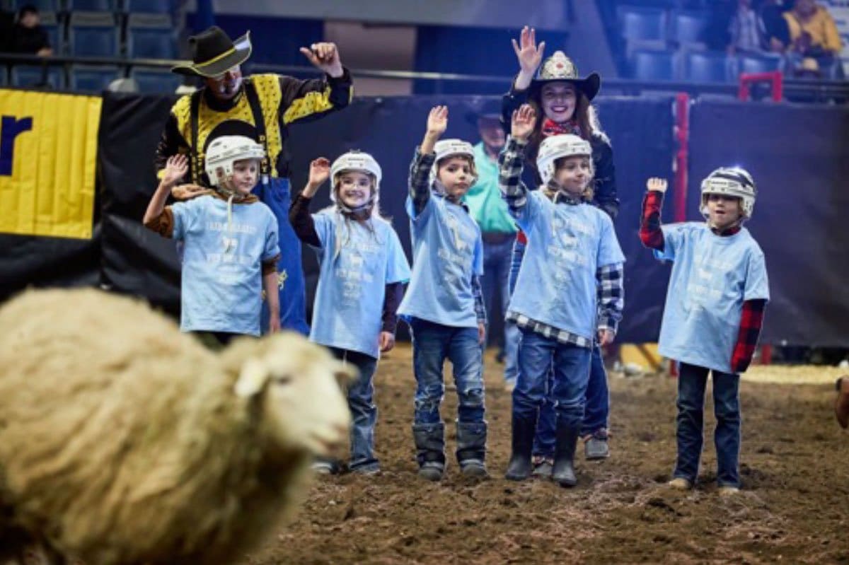 Agricultural Adventures for Kids in Saskatchewan - Saskatchewan Open ...