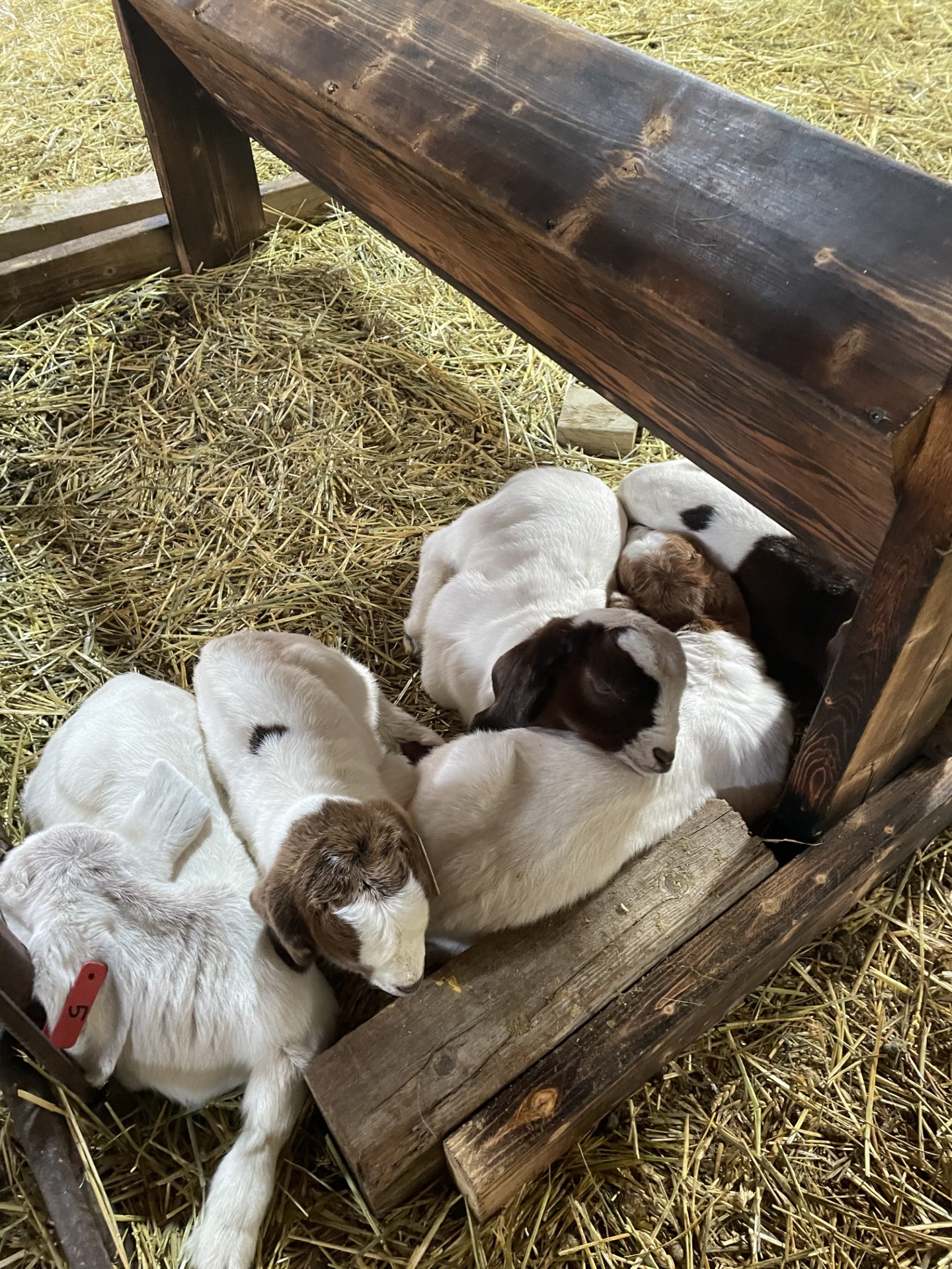 Visit a Farm - Saskatchewan Open Farm Days