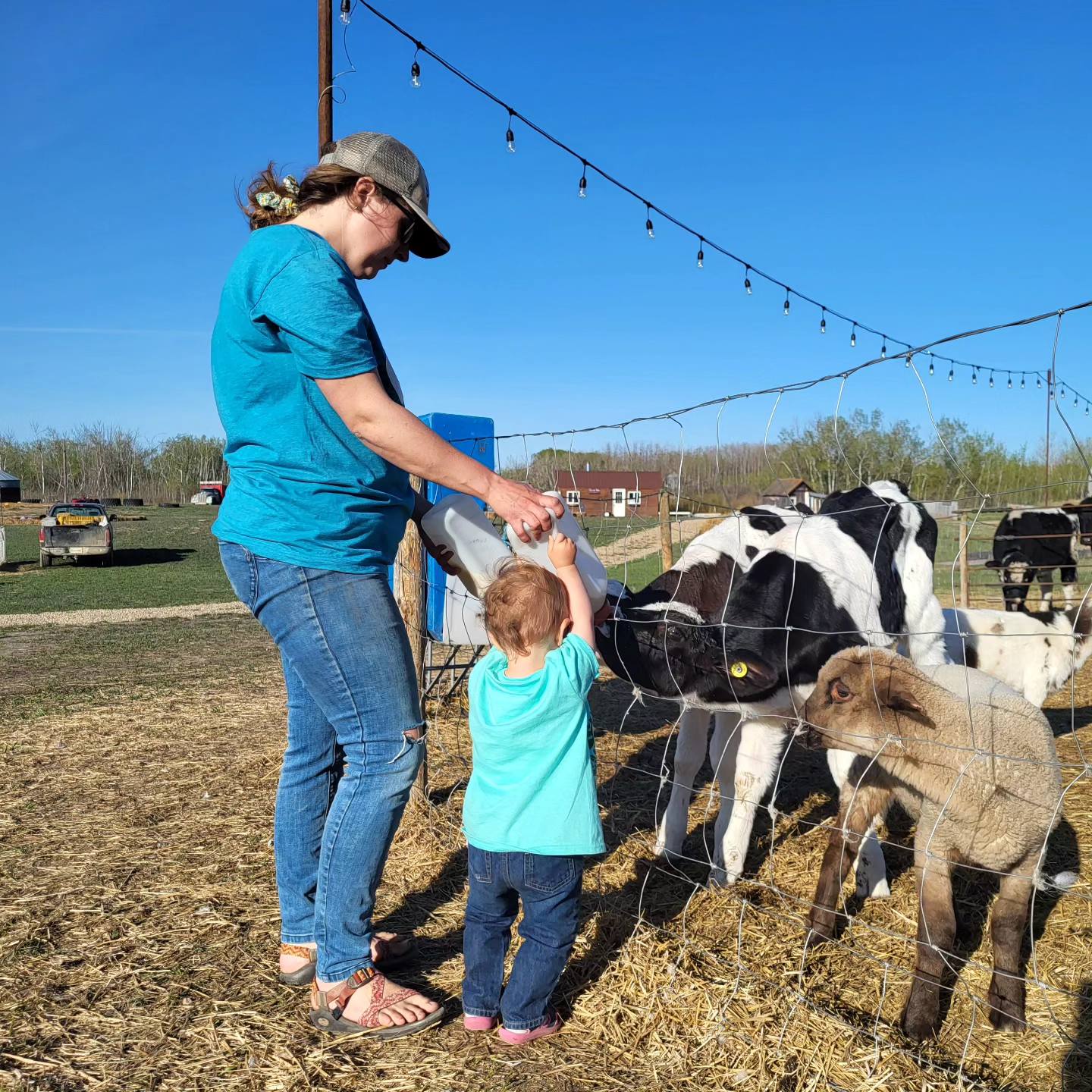 Wander's Tiny Farm - Saskatchewan Open Farm Days