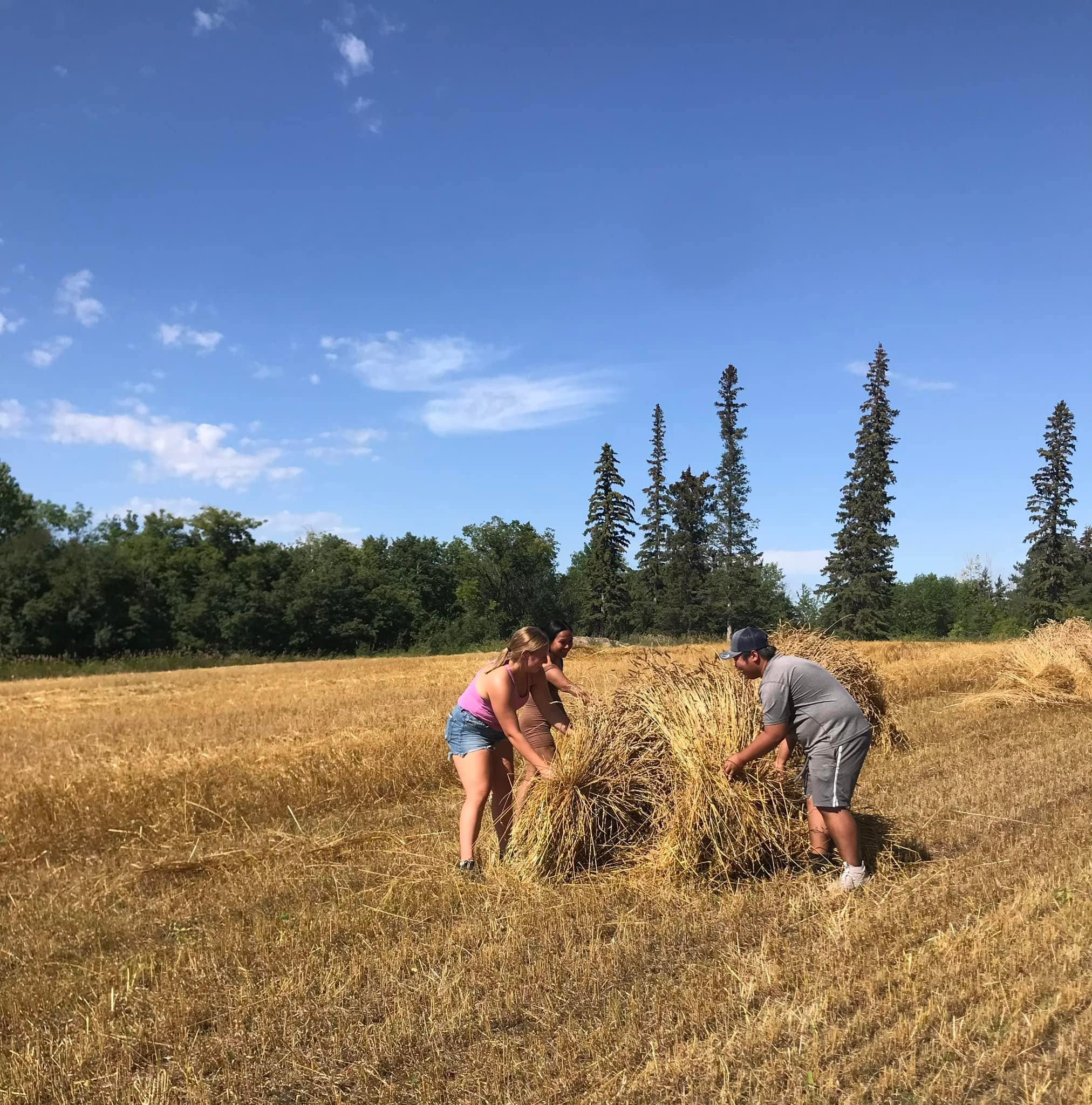 Visit a Farm - Saskatchewan Open Farm Days