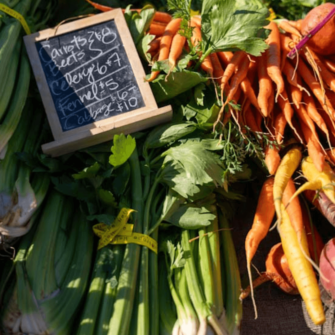 Itinerary Inspiration: Regina and Area - Saskatchewan Open Farm Days